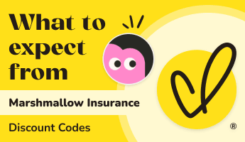 Marshmallow Insurance Discount Code - Exclusive £40 Off in May